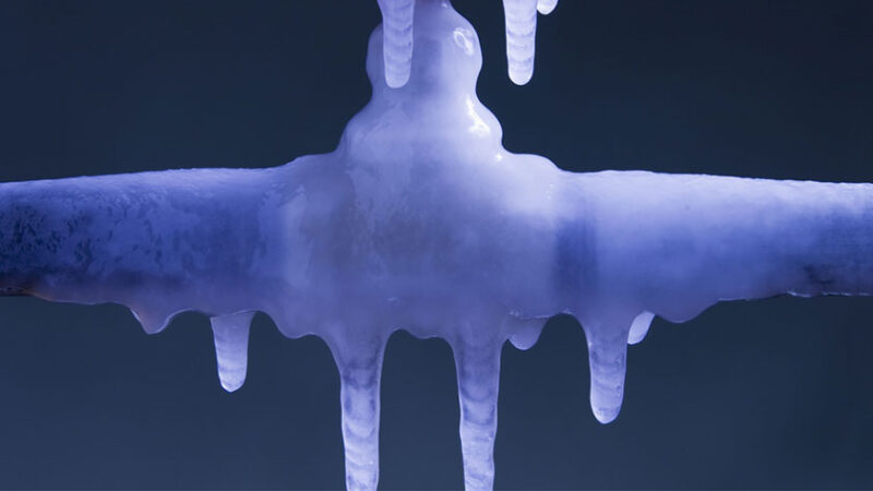 What is CBD Winterization? | Cannabis Winterization Process